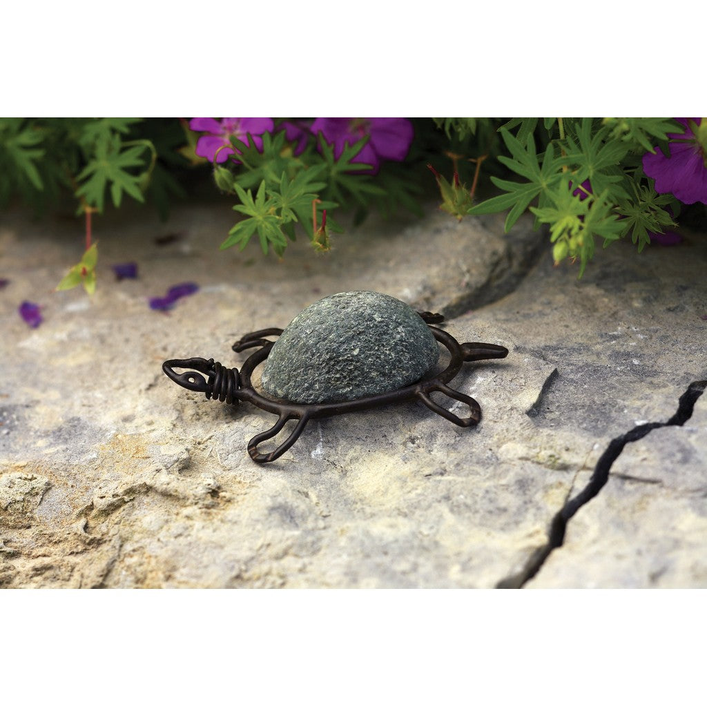 Turtle Natural River Stone — Parrotcha