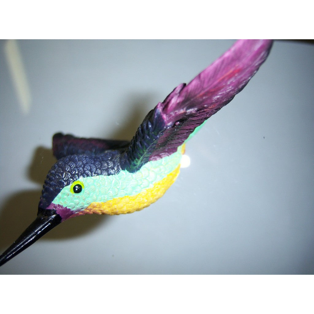 Hummingbird Window Magnet — Parrotcha