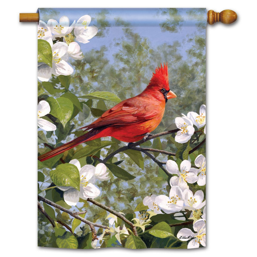Cardinal in Blossoms Standard Flag — Parrotcha