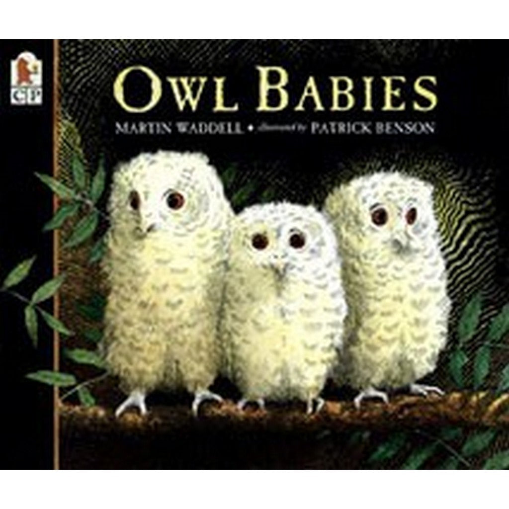 Owl Babies by Martin Waddell — Parrotcha