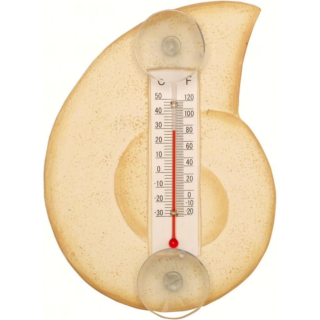 Cream Nautilus Shell Small Window Thermometer — Parrotcha