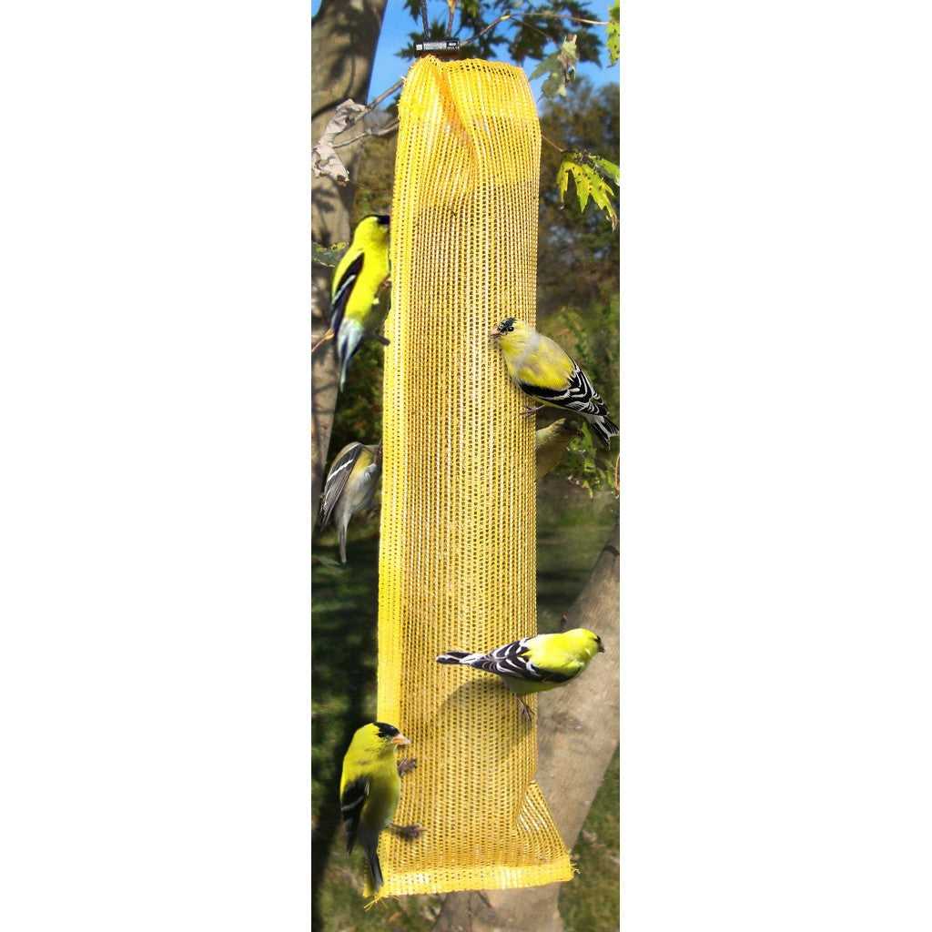 Jumbo Thistle Sack Gold — Parrotcha