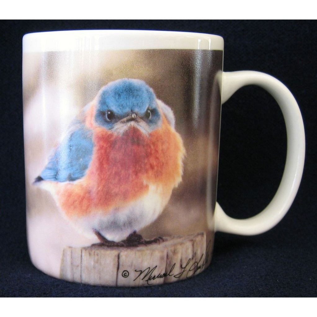 Mug 11 oz. Mad Bluebird — Parrotcha