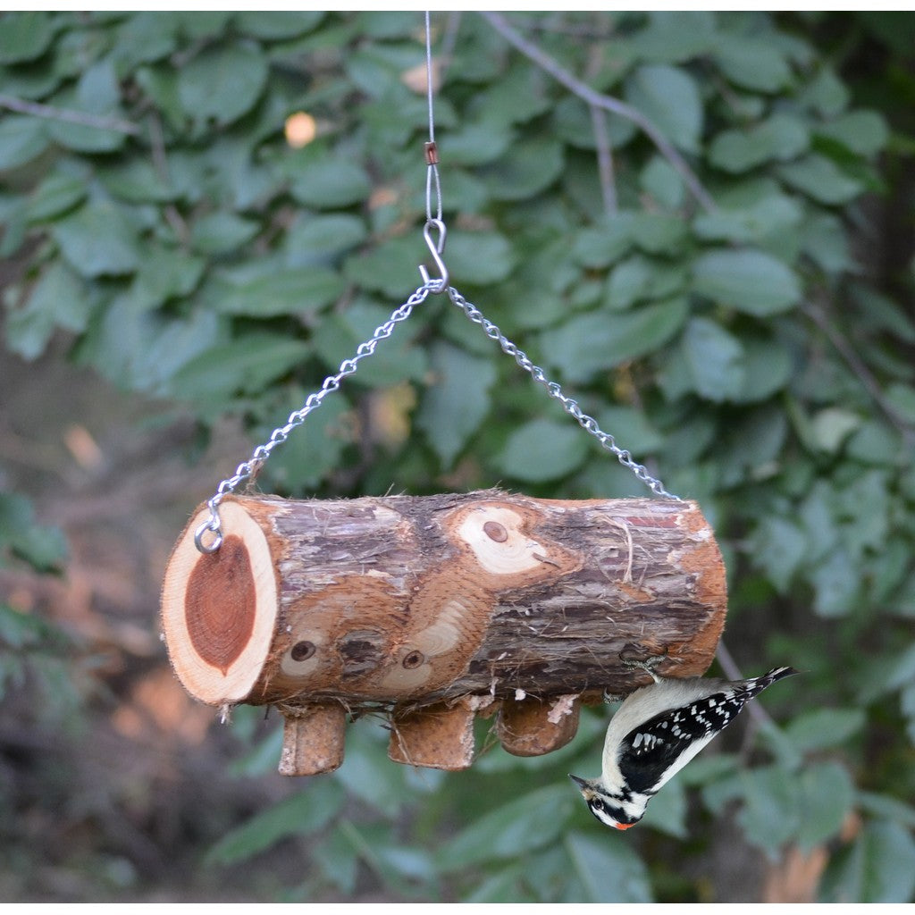 3 Plug Suet Log Upside down — Parrotcha
