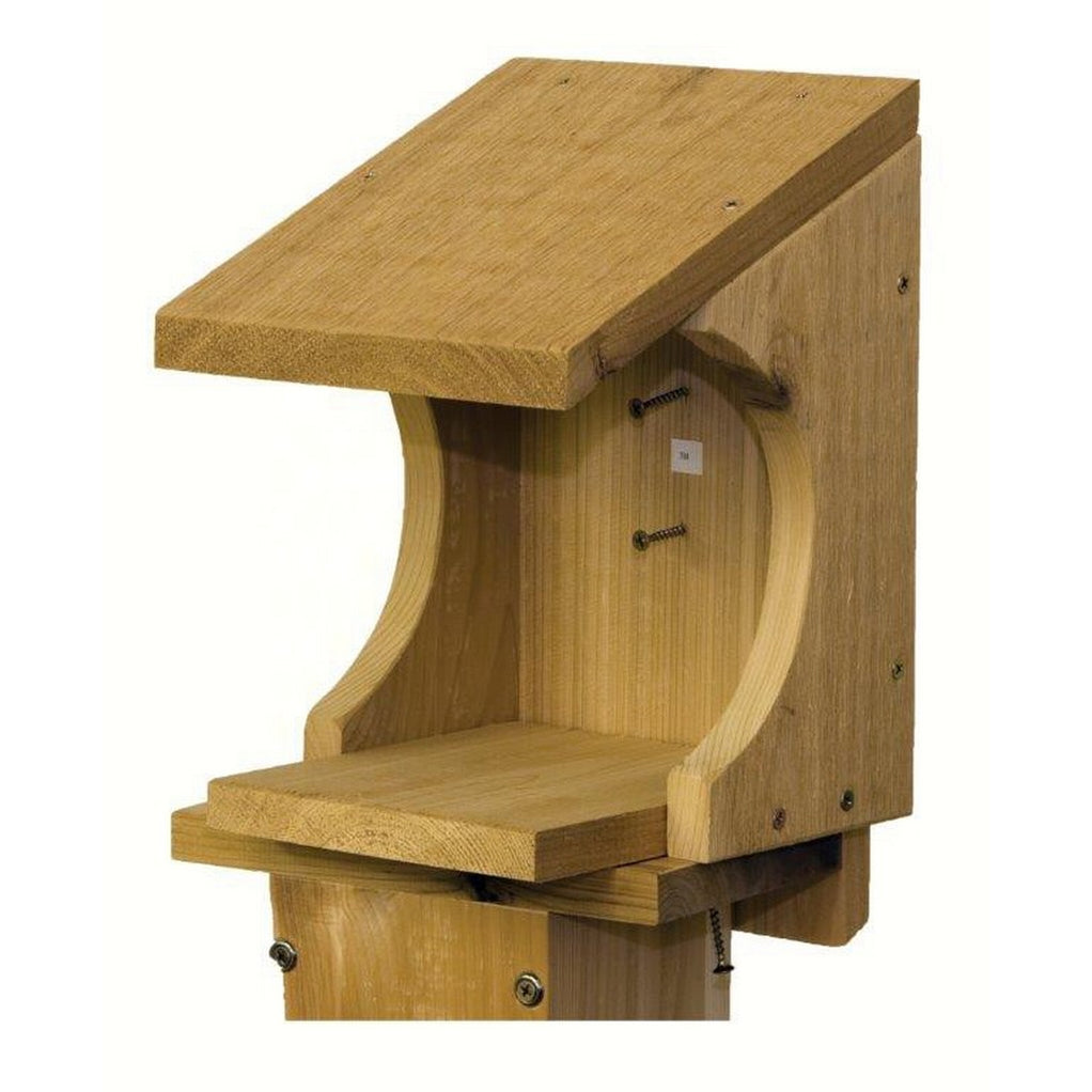 Robin's Nesting Shelf — Parrotcha