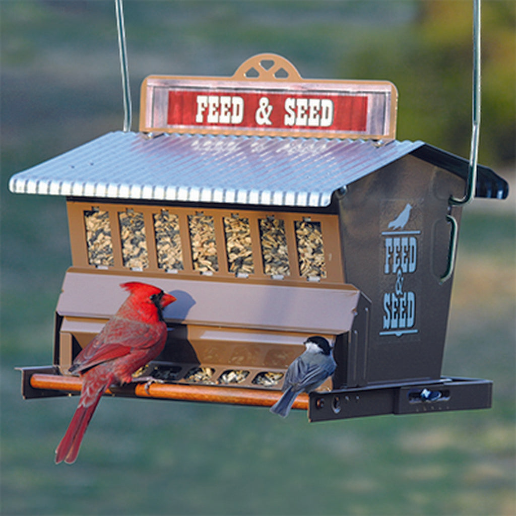 Rustic Farmhouse Absolute Feed & Seed Feeder — Parrotcha