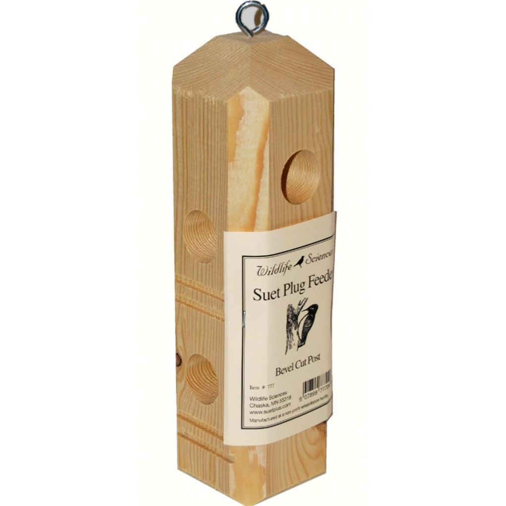 Pine Plug Feeder — Parrotcha